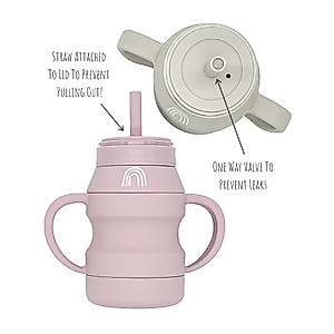 Hippypotamus Silicone Transition Cups - Small Baby/Toddler Cups With Straws & Lids - Removable Handles - Set of 2 (Blush/Nude)