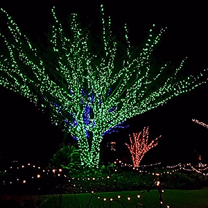 WATERGLIDE 1 Pack St. Patricks Day Shamrocks Lights, 50 LED Outdoor Decorative String Lights, Battery Operated Lucky Clover Light, 8 Lighting Modes & Timer, Waterproof for Party Garden Home Decor