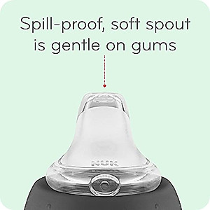 NUK Learner 5 ounce Sippy Cup, Disney Pack of 2