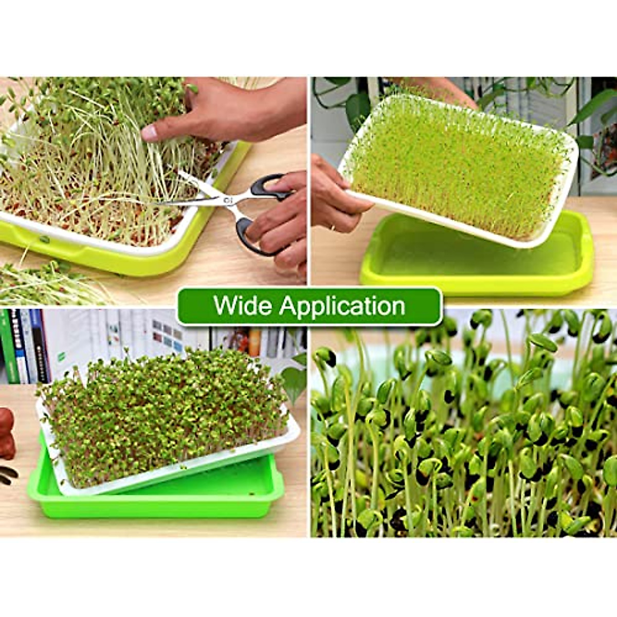 SHEING Seed Sprouter Germination Tray 5 Pack, BPA Free Nursery Healthy Wheatgrass Seeds Grower & Storage Trays for Garden Home Office