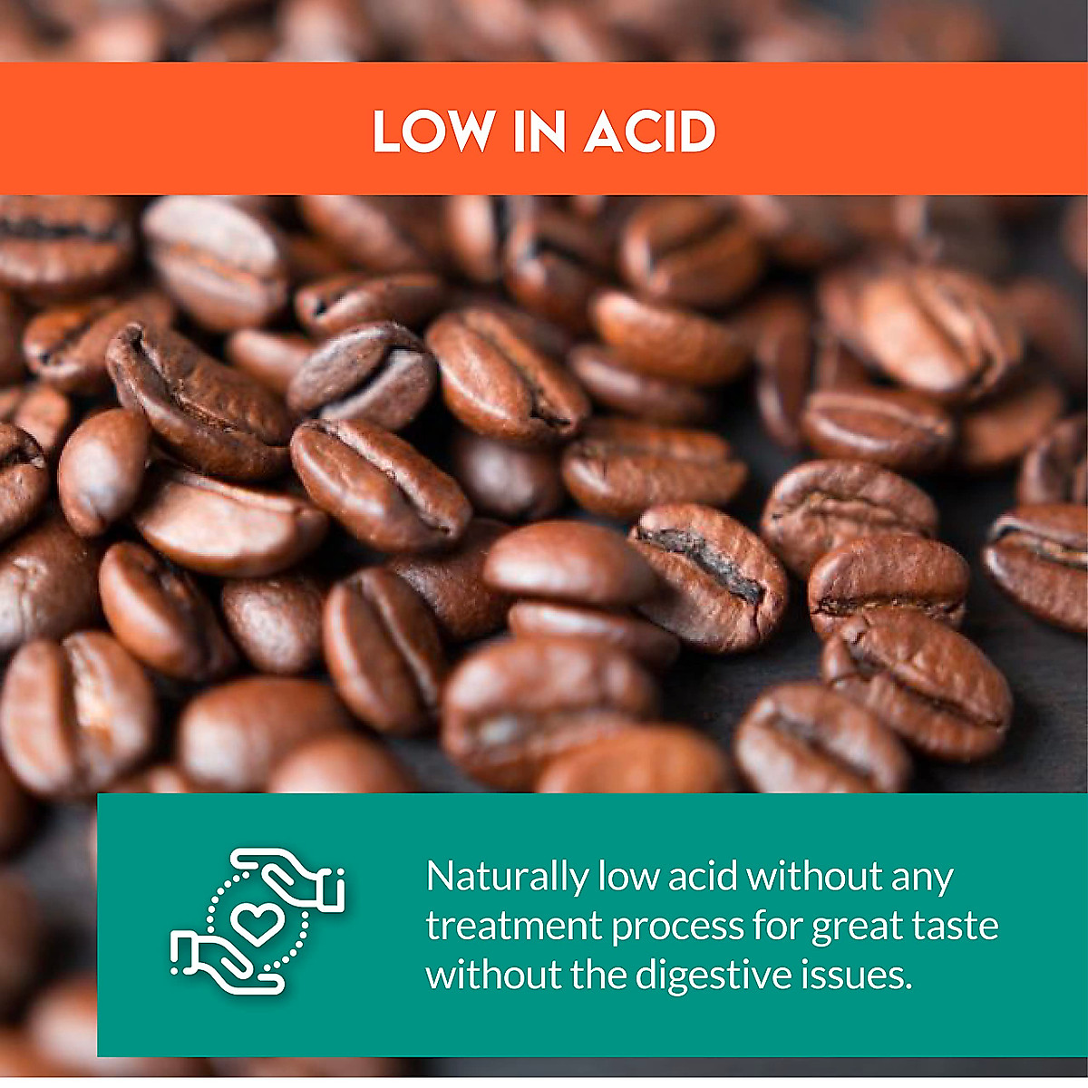 Clean Coffee Co. | Low Acid Coffee, 12oz Bag Ground Coffee | Medium Roast from Papua New Guinea | Toxin and Mold Free, Antioxidant Rich, Smooth Taste for Espresso, French Press, or Iced Coffee