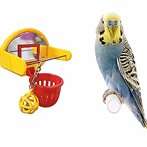 QBLEEV Bird Basketball Toy with Mirror, Bird Hanging Training Toys for Cage，Parrot Chew Ball Foraging Toys, Bird Interactive Intelligence Toy for Budgies Parakeets Cockatiels Conures，Easy to Install