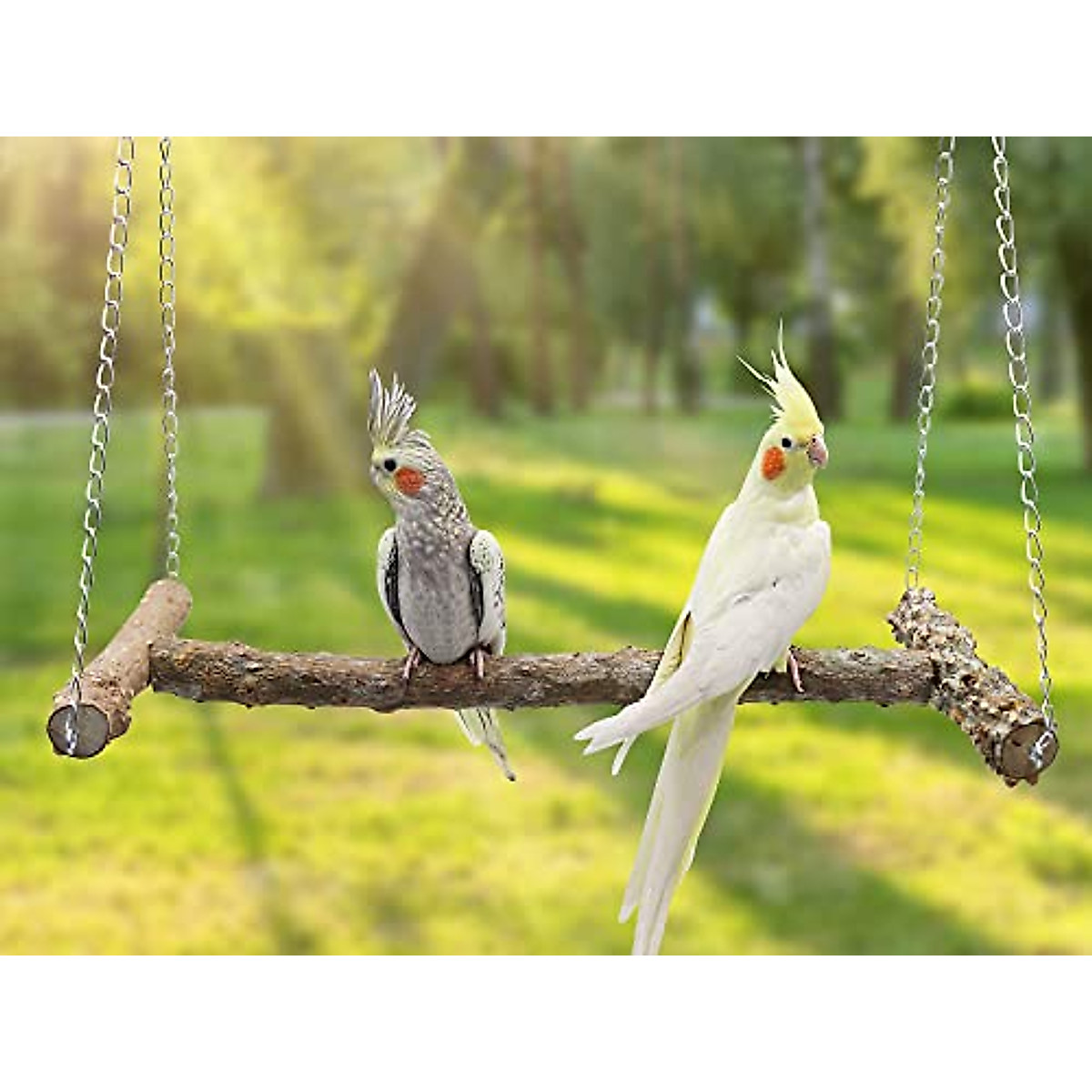 Large Bird Perch Swing Toy, Natural Pepper Wood Parrot Perch Stand Toy, Hangable Birdcage Accessories with Stainless Steel, Bird Chewing Toy for Parrot Parakeet Budgies Lovebirds(18×10 Inches(L×W))