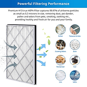 HE601 HEPA Replacement Filter Compatible with Shark Air Purifier 6-Fan Models HE601& HE602, H13 True Premium HEPA Filter, Compare to Part # HE6FKPET, HE6FKBAS, HE6FKPRO, 2 Pack