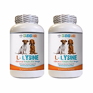 Healthy Dog Bones - Dog LYSINE Powder - Pure Powder Form - Immune System Support - Vet Recommended - lysine Immune - 2 Bottle (16oz 453.6 Grams)