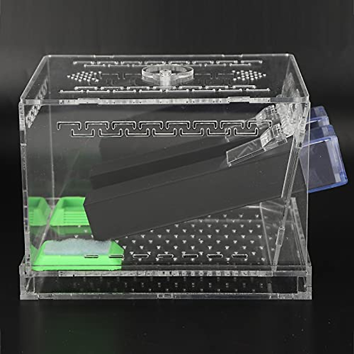 Shanrya Acrylic Feeding Cricket Keeper, Cricket Care Kit with Tubes with Feces Layer for Observation of Breeding(L)