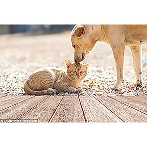 I LOVE MY PETS LLC Healthy Dog Treats Made in USA only - PET Ultra Vitamins - Dogs Cats Health - Best Benefits - Vitamin a for Dogs - 90 Treats (1 Bottle)