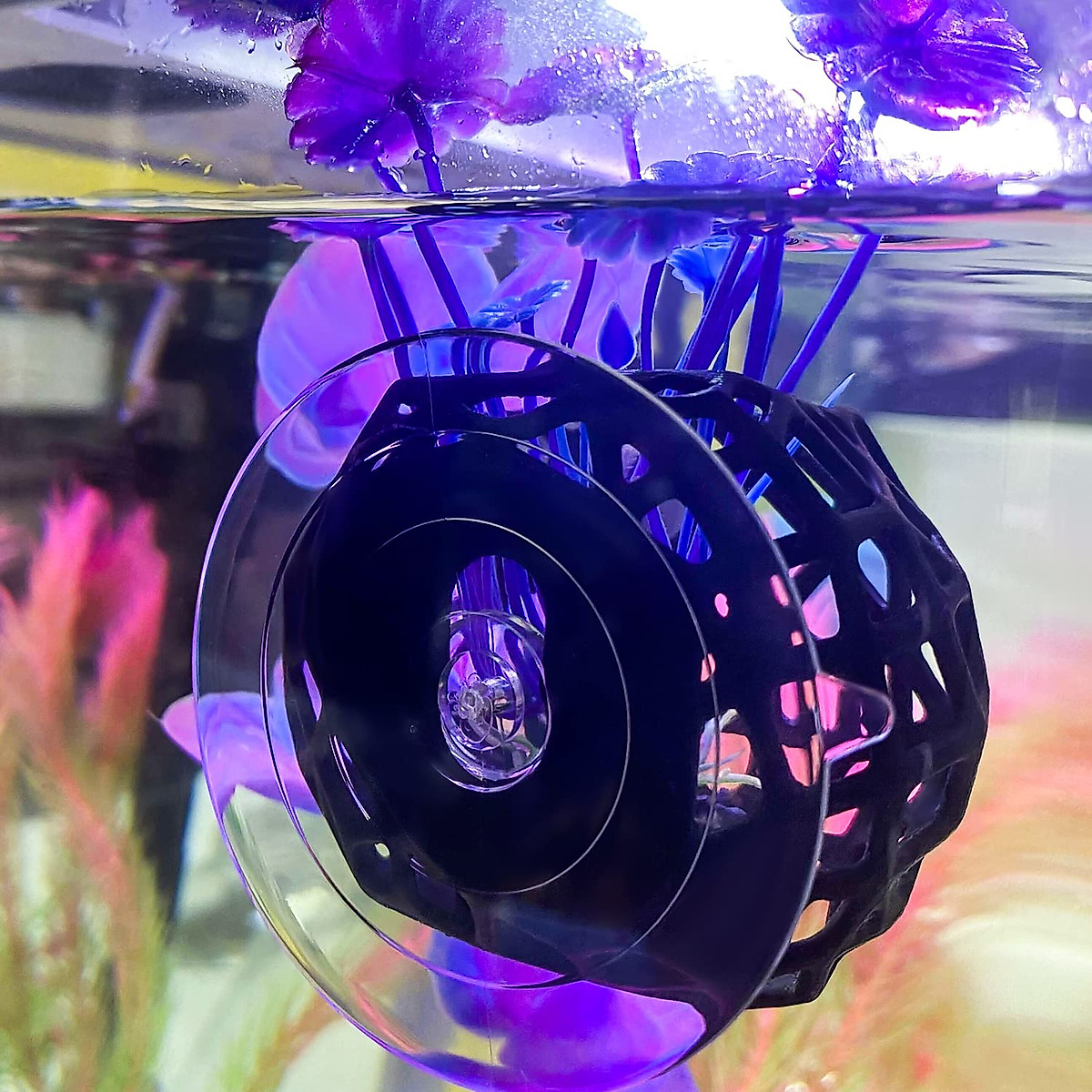 Aquarium Plant Holder, Fish Tank Plant Holder with Suction Cups, Aquarium Planter Cup, Hanging Aquarium Planter Cups, for Aquatic Plant Cultivation and Water Feature Decoratio(Black)