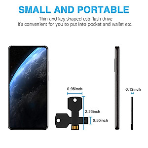 RAOYI 10 Pack 2GB USB Flash Drive USB 2.0 Metal Key Shape Memory Stick Thumb Drive Pen Drive-Black