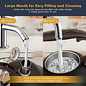 Tea Kettle Whistling Teapot for Stovetop : 2.64 Quart Food Grade Stainless Steel Tea Pot with Wood Pattern Handle, Loud Whistle Kettle for Tea, Coffee, Milk - Black