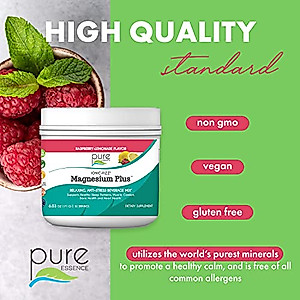 Pure Essence Labs Ionic Fizz Magnesium Plus, Anti-Stress Supplement Drink Powder, Gluten Free and Non-GMO Magnesium Powder (Raspberry Lemonade, 6.03 Ounce (Pack of 1))