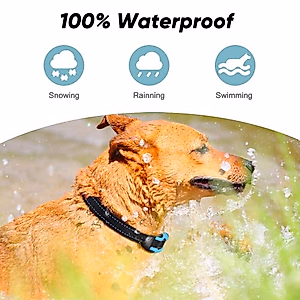 PcEoTllar Electric Fence for Dogs, Rechargeable Underground Dog Fence System, Pet Containment System, 1 Waterproof Collar Receivers, with 656Ft Underground/Aboveground Boundary Wire