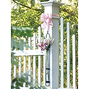 Couronne Co. Florence Hanging Pendant Tube Vase with Wall Hook, M044-001, 16.5 Inch Tall, 2.7 Ounce Capacity, Clear, 1 Piece