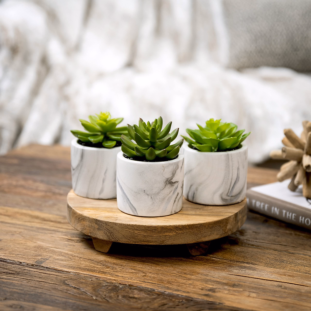 Kurrajong Farmhouse Artificial Succulent Plants in pots | Mini Fake Plant for Shelves | Artificial Plants for Home Decor Indoor | Succulent Plants Artificial | Mini Plant Decor | Small Faux Plants