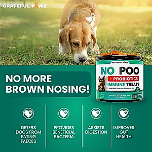 Grateful Pawz No Poo Chews for Dogs - Coprophagia Stool Eating Deterrent for Dogs -120 Chews Prevent Dog from Eating Poop - Stop Eating Poop for Dogs Supplement