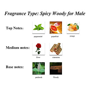 Perfume&Beauty Perfume Eau de Parfume for Men, 3.4 oz Spray Parfume for Men 100 ML- Black Millionaire