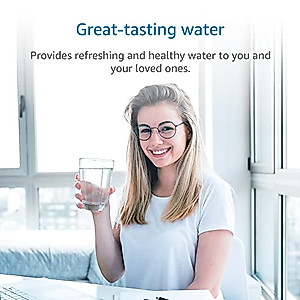 AQUACREST F-601R Filter Cartridge, NSF/ANSI 42 Certified, Replacement for F-601R Filter Cartridge (Pack of 2), Model No.WF05.