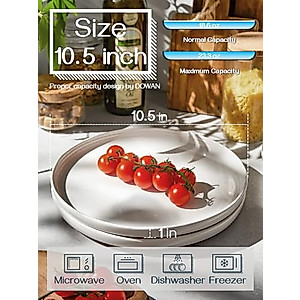 DOWAN 10.5” Moon-White Sesame Glaze Large Dinner Plates Set of 6, Porcelain Ceramic, Microwave, Oven & Dishwasher Safe, Elegant Design Perfect for Daily Dining, Family Gatherings, Parties & Gifts