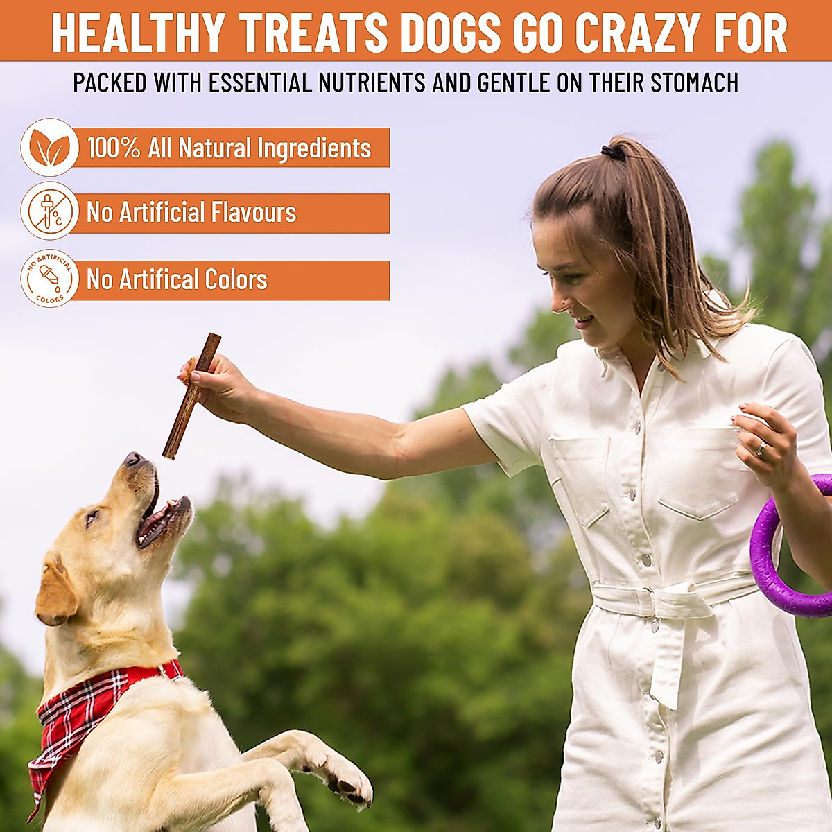 PETSamba 6-Inch Beef Stick Jerky [20-Pack] – All-Natural Meat Chews, Highly Digestible, Grain-Free, Dog Sizes