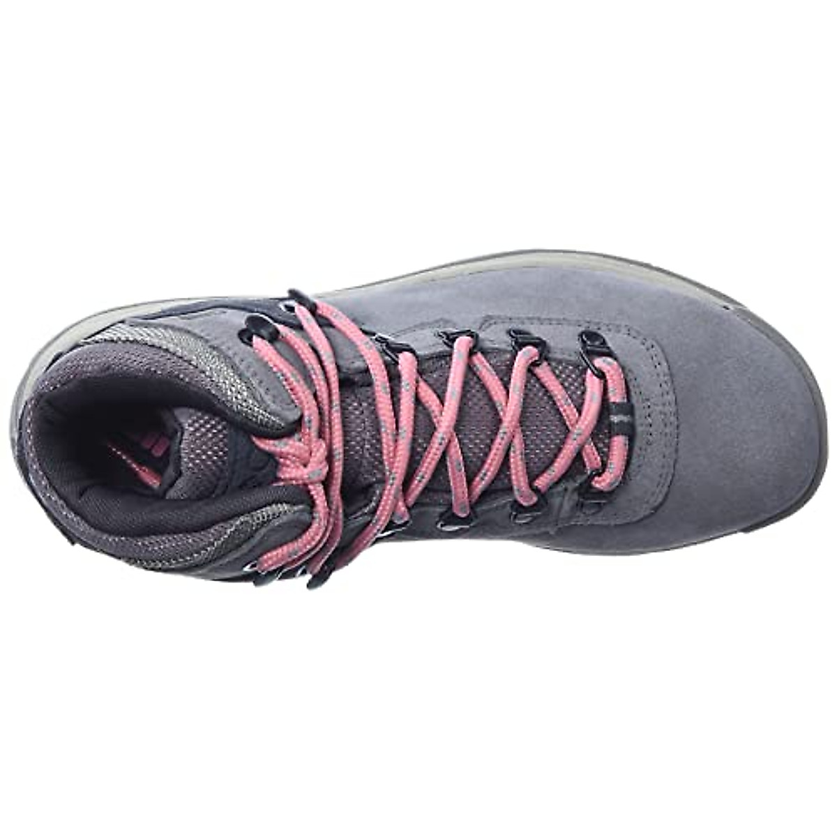 Columbia Women's Newton Ridge Plus Waterproof Amped, Stratus/Canyon Rose, 8.5