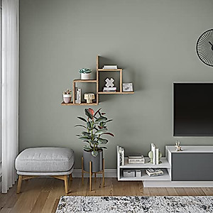 Ada Home Décor Webb Wall Shelf, 34'' x 23'' x 8'', Light Walnut