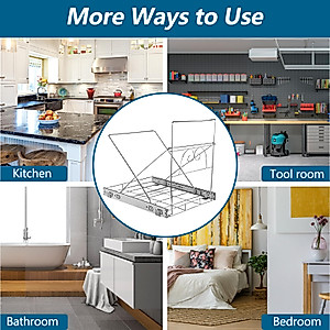 Pektiftn Double Pull Out Trash Can Under Cabinet, Under Sink Trash Can Pull Out Shelf Kit,Dual Compartment Slide Out Rack Rail for Kitchen Recycle Bins (Not Included Trash Can，Stainless Steel)