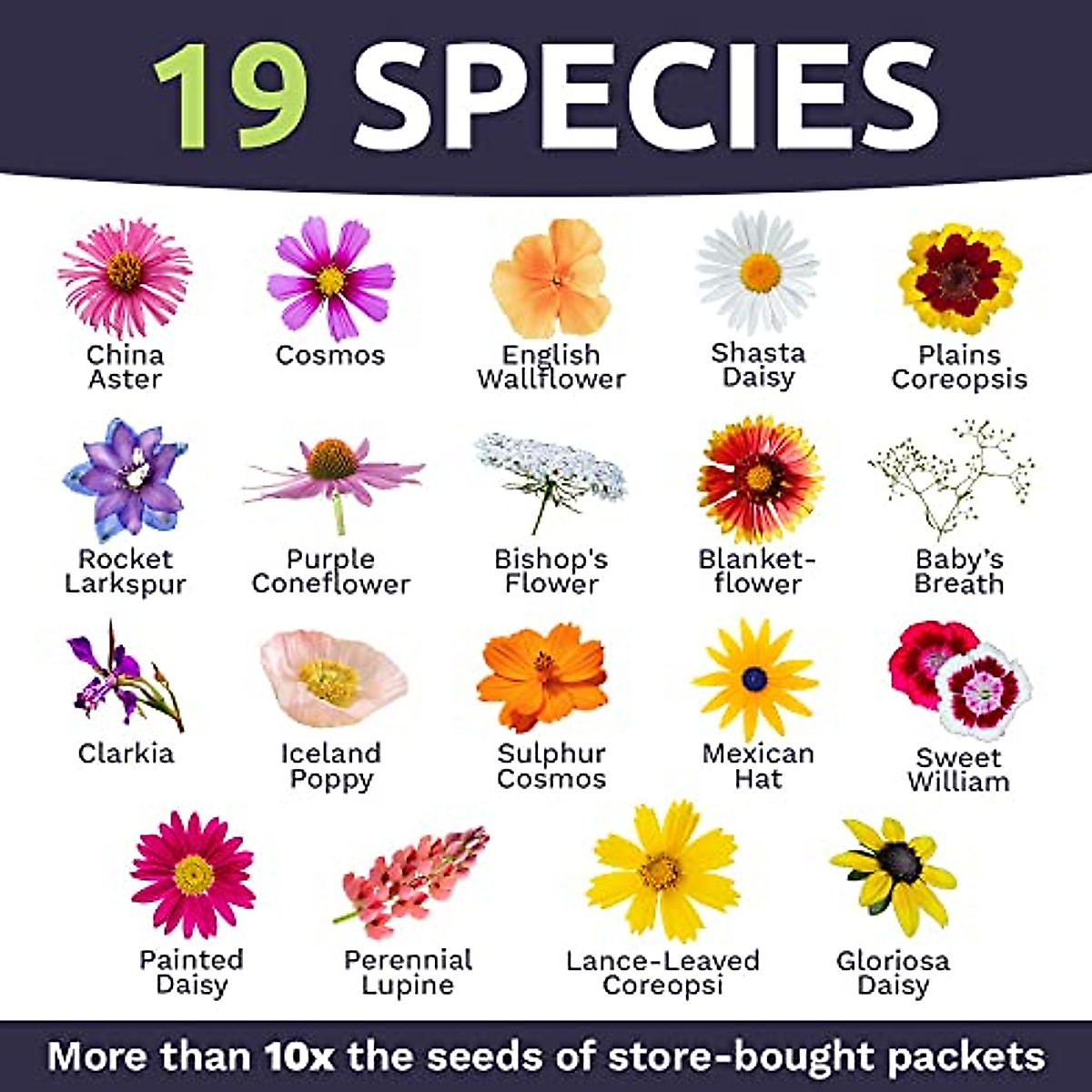 Sweet Yards Seed Co. Cut Flower Garden Seeds - Extra Large 1 Ounce Packet - Over 7,500 Fresh Open Pollinated Non-GMO Wildflower Seeds - Long Lasting Annuals and Perennials with Bright Colors