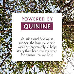 Klorane - Strengthening Shampoo - with Quinine & Edelweiss For Thinning Hair - Support Thicker Hair - Silicone, Paraben & Sulfate Free - 13.5 fl. oz.