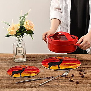 ALAZA Deer and Beautiful Sunset Red Sky Trivets for Hot Dishes 2 Pcs,Hot Pad for Kitchen,Trivets for Hot Pots and Pans,Large Coasters Cotton Mat Cooking Potholder Set