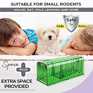 DEJOR Humane Mouse Trap Live Catch Indoor for Home/Outdoor Durable Reusable No Harm to Mice Rats Rodents Easy Release Door Knob - Kids Pets Safe Perfect for House/Outside Pest Control - 4 Pack, Green