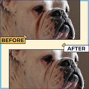 Wrinkle Paste For Bulldogs 2oz + Paw Cleaner For Dogs 5oz (Made In USA)- No Rash & Dirt On French Bulldog, English Bulldog, Pug- Waterless Dog Paw Washer & Bulldog Wrinkle Cream For Dog