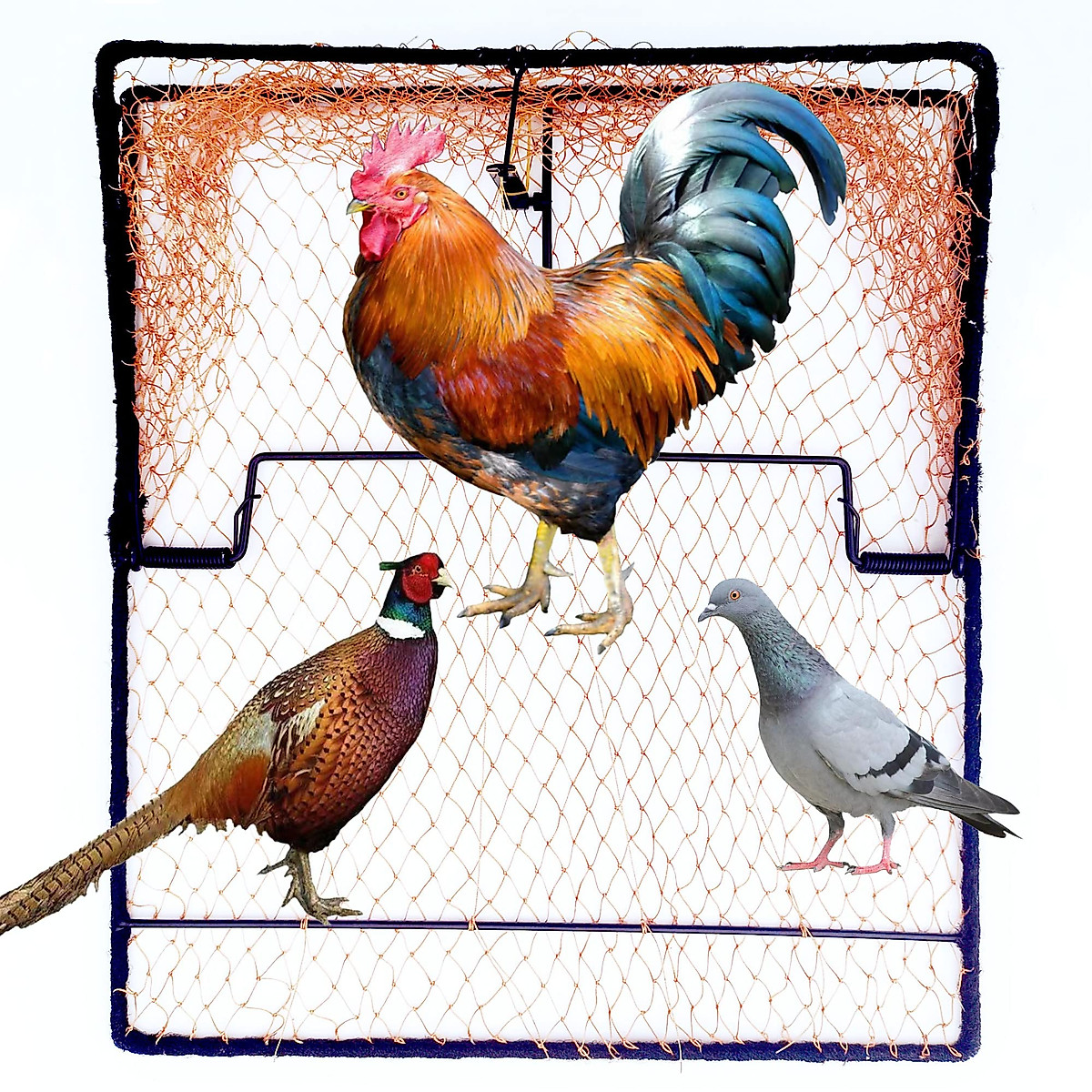 DSQSTMR Bird Trap Pigeon Sparrow Quail Starling Chicken Live Animal Control Spring Traps Snares for Trapping Catching Net