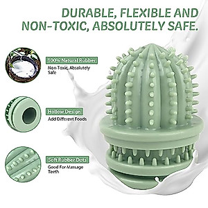 COMFPET Dog Chew Toys for Teething and Cleaning, Rubber Puppy Toys, Dog Dental Chews Toy, Interactive Dog Toys for Small/Medium Dog, Cactus Shape(Green)