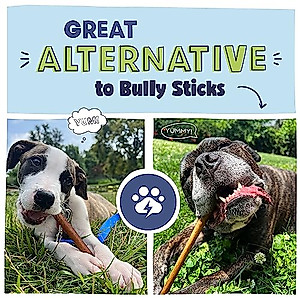 Pawstruck All Natural 11-12" Roasted Collagen Sticks for Dogs - Low Odor & Long Lasting Alternative to Bully Sticks and Rawhide Chews - Grain Free, Single Ingredient & Vet Approved - 5 Pack