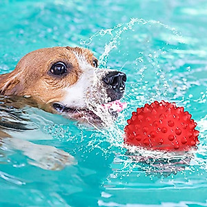 Apasiri 𝐔𝐩𝐠𝐫𝐚𝐝𝐞𝐝 𝐕𝐞𝐫𝐬𝐢𝐨𝐧 Squeaky Toys for Large Dogs, Aggressive Chewers, Tough Spiky Ball Durable Floatable Rubber Pet Toys for Medium Breed