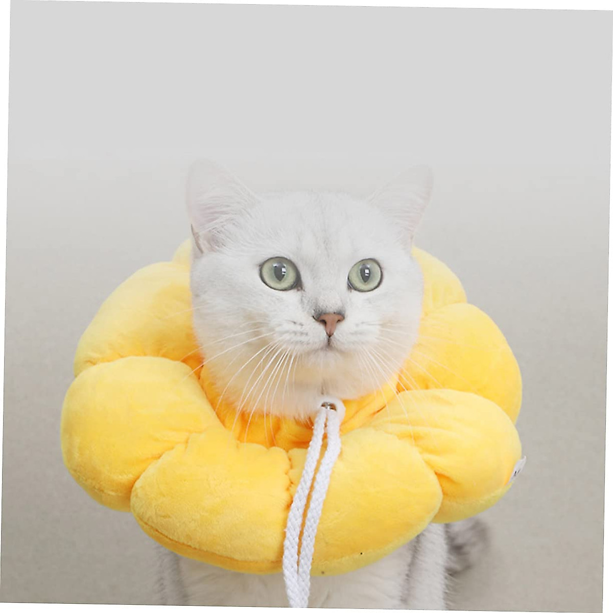 Toddmomy 2pcs Elizabeth Circle Pet Bite Collar Cat Recovery Neck Cone Elizabethan Cat Cone Adjustable Pet Cone Pet Bite Collar Cat Recovery Collar Choker Pp Cotton Kitten