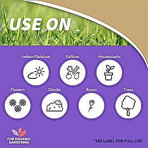 Bonide Rose Rx Multi-Purpose Fungicide, Insecticide and Miticide, 32 oz Ready-to-Use Spray, For Organic Gardening