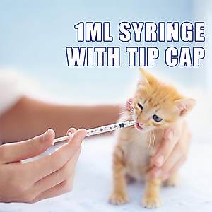 1ml Syringes with Caps (Pack of 100)