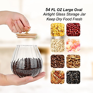 FANTESTICRYAN Glass Coffee Nuts Canister Airtight Storage Jar Petal Decorative Container with Bamboo Lid Metal Handle Easy to Grasp 1600ml, 54 FL OZ (Large Oval)