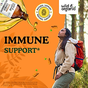 Chaga Mushroom Tincture - Immune Support Supplement w/Organic Chaga Mushrooms - Alcohol-Free Chaga Mushroom Drops for Immunity - Chaga Mushroom Supplement Liquid - Chaga Mushroom Extract - 4 oz