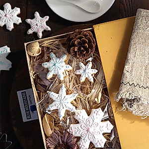 Snowflake Cookie Cutter Set of 10 pcs, Stainless Steel Snowflake Shaped Christmas Cookie Cutters Fondant Baking Molds