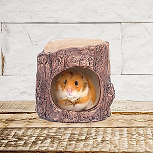 YARDWE Summer Squirrel Nest Ceramic Hamster Hideout Hamster House Chinchilla Mini Hut Small Animal Hideout Cave Critter Bath for Chinchilla Hamster Rat Gerbils Chinchilla Mini Hut