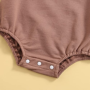 Lamuusaa Newborn Baby Girls Boys Clothes Crewneck Sweatshirt Long Sleeve Romper Bodysuit Pullover Oversized Autumn Tops (Dinosaur-Brown, 0-6 Months)