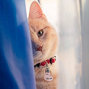 Ultra Joys Dog ID Tag, Custom Dog Tag, Personalized Dog Tag, Dog Tag, Pet ID Tag, Dog Tag for Dogs, Brushed Stainless Steel Heart Dog Tag Rose Gold Small