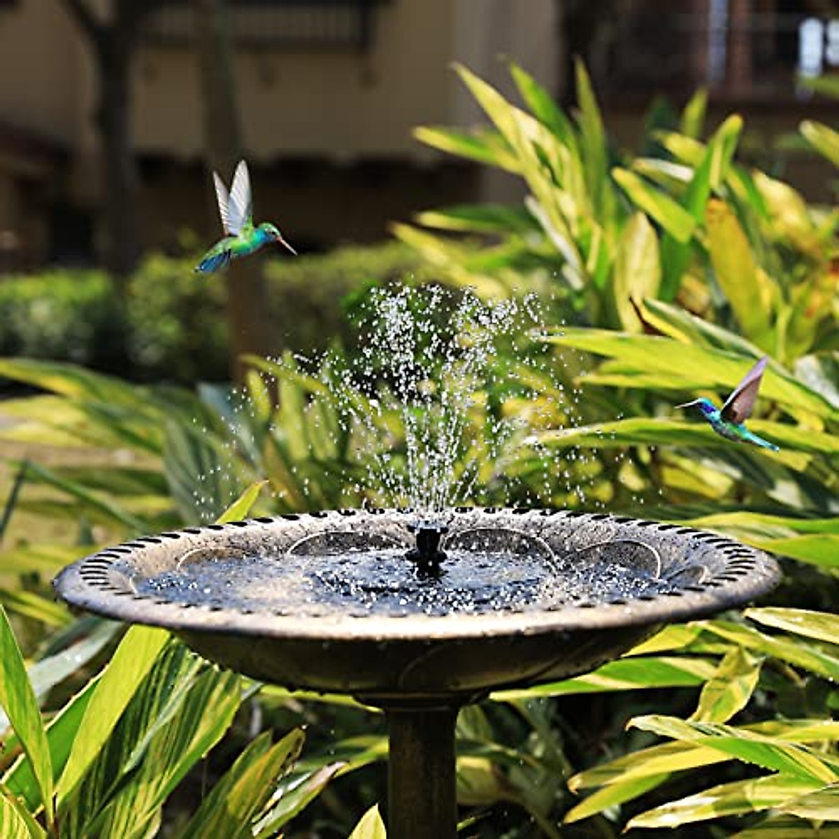 AMZtime Solar Fountain Pump 3.5W Solar Water Fountain Pump with 6 Nozzles, Solar Powered Pump for Bird Bath, Fish Tank, Pond, Garden, Outdoor and Aquarium