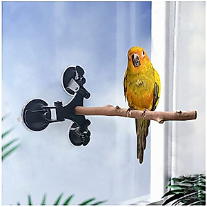 BETYMAO Wood Parrot Perch with Suction Cups Bird Window Perch Bird Bath Perch Bird Training Perch Cockatiel Shower Perch Parakeet Stand Perch Bird Cage Accessories for Home Decoration Short