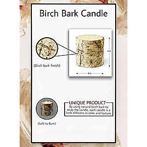 Serene Spaces Living Birch Bark Candle – Pillar Style Candle Brings Nature Indoors, Ideal for Weddings, Parties, Events, Restaurants, Home Decor, 6" in Diameter & 6" Tall