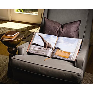 Dinosaur World: Over 1,200 Amazing Dinosaurs, Famous Fossils, and the Latest Discoveries from the Prehistoric Era (Explore The Mesozoic Era with Over 1,200 Dinosaur Species)