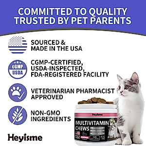 HEYISME Lysine Supplement for Cats, Cat Treats for Sneezing and Runny Nose, Cat Cold, Cat Immune Support, Eye Function, and Respiratory Health, L-Lysine Cat Vitamins for Cats (Salmon, 120 Chews)