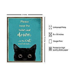 Put The Toilet Seat Down Sign - Cat Bathroom Decor - Bath Wall Decor - Funny Bathroom Wall Art - Blue Bathroom Decorations for Women, Kitty, Kitten Fan - Powder Room - Restroom Sign - Guest Bathroom